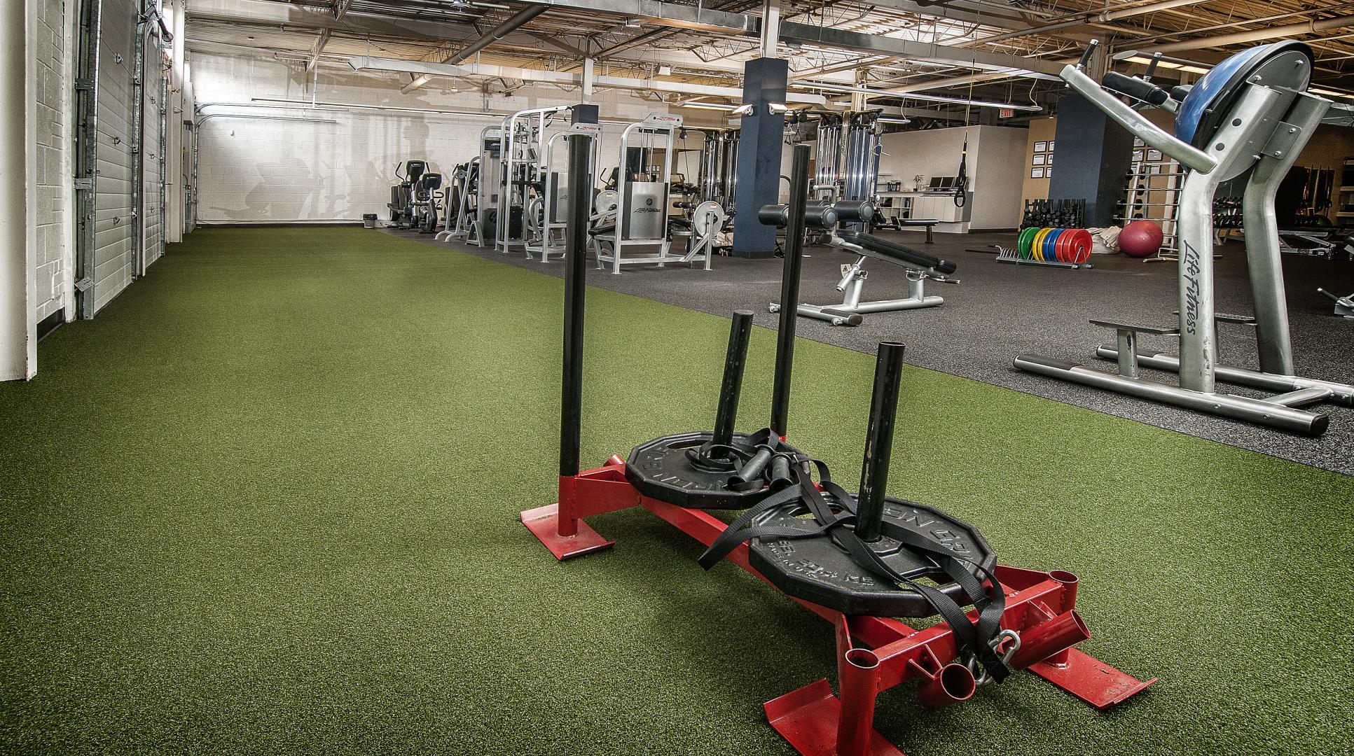 ECOfit-Turf | ECOsurfaces